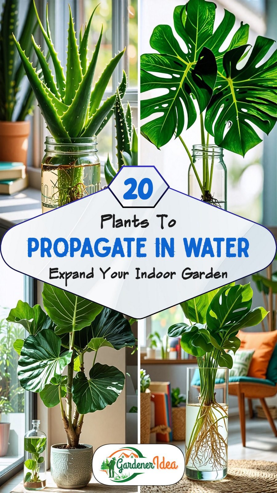20 Plants To Propagate In Water - Gardener Idea