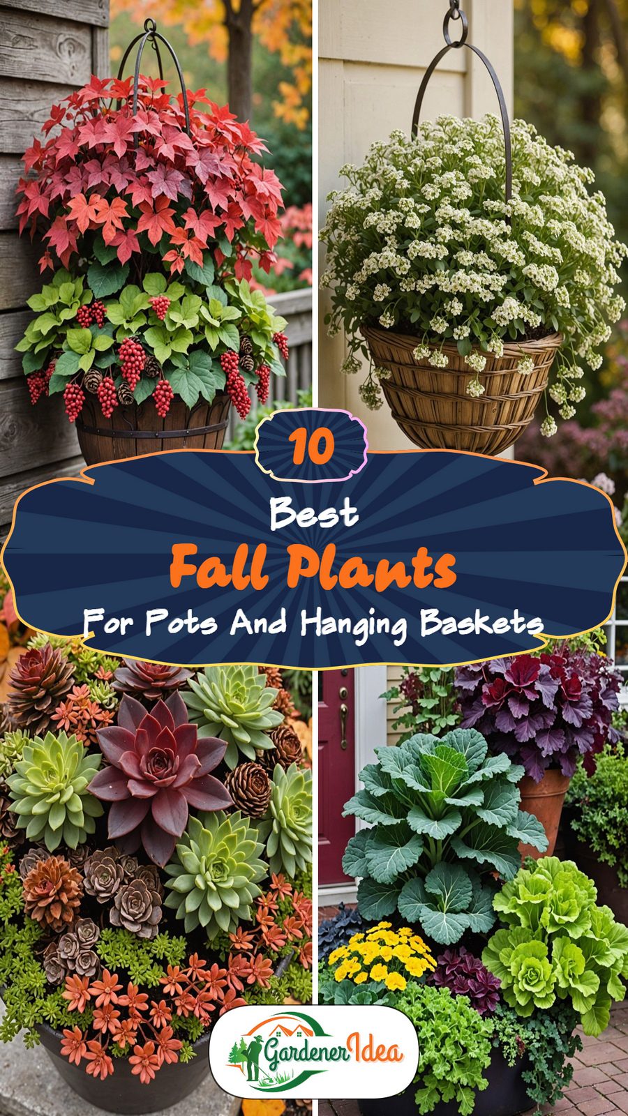 10 Best Fall Plants For Pots And Hanging Baskets - Gardener Idea