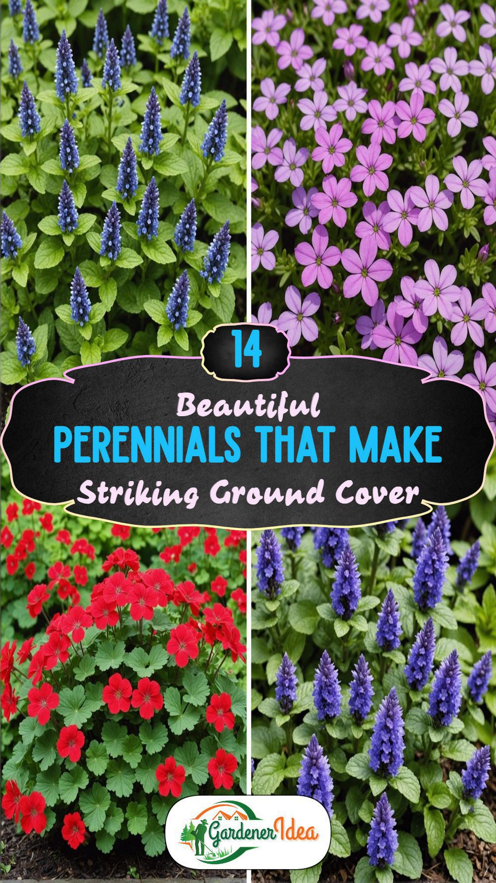 14 Beautiful Perennials That Make Striking Ground Cover - Gardener Idea
